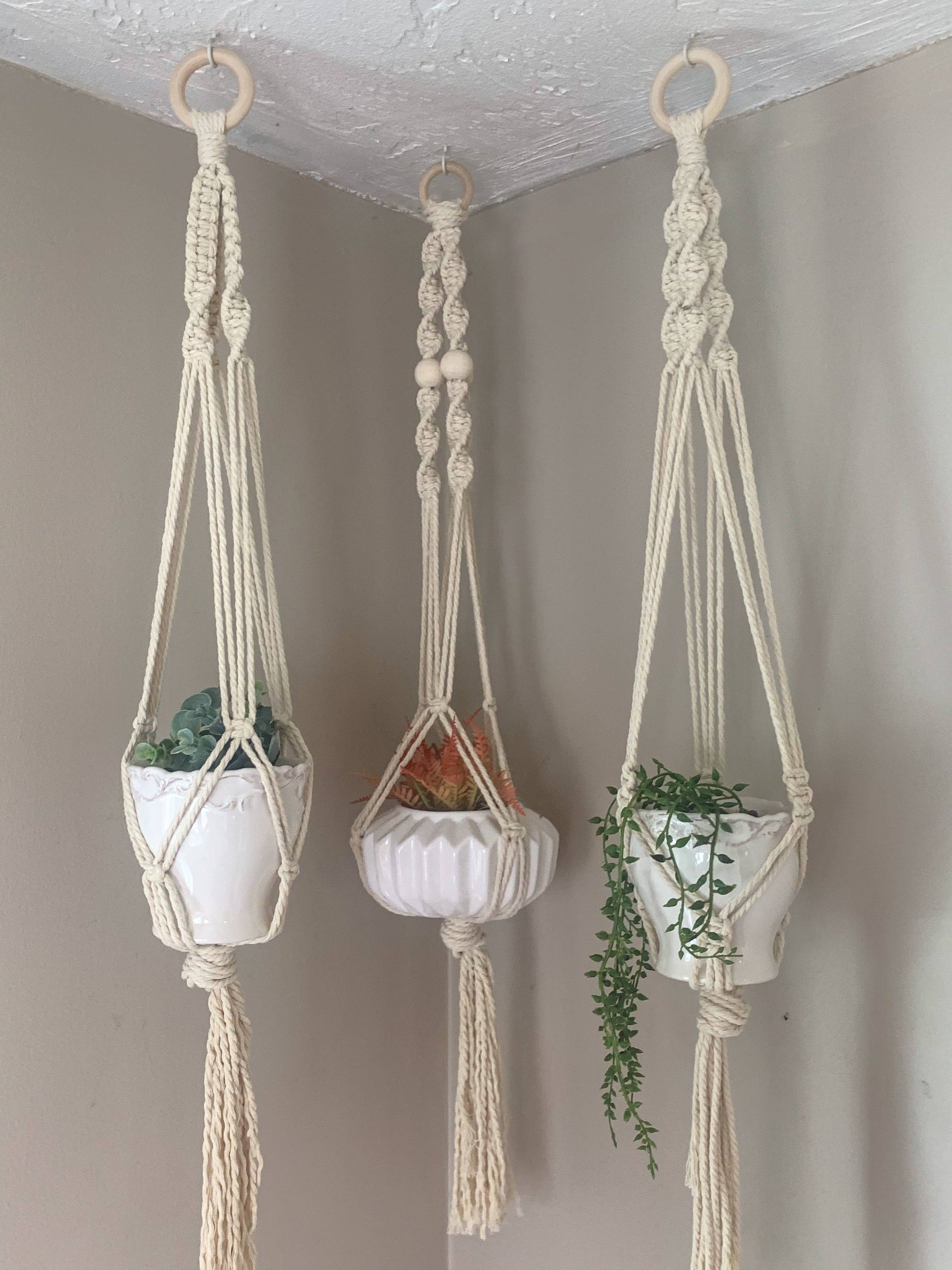 Assorted Macrame Plant Hangers | All Aspects at the Barn
